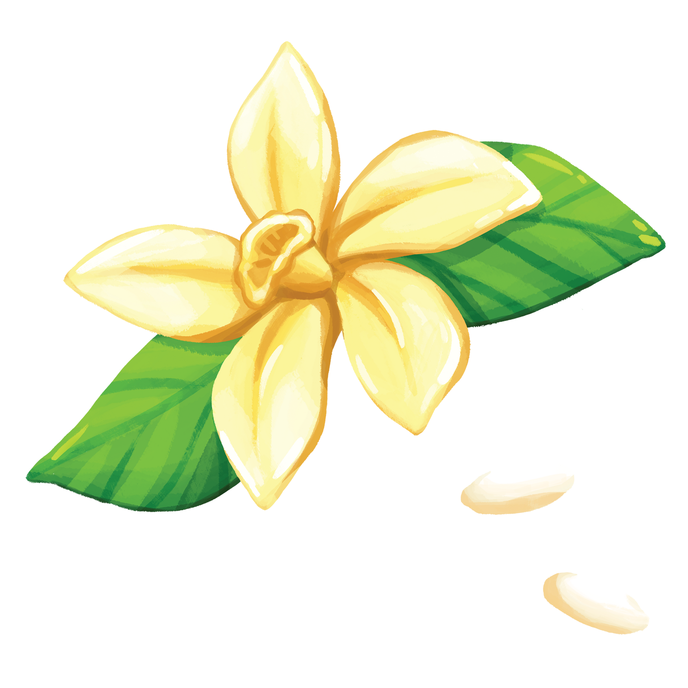 Rice Pudding - Plant-Based Vanilla Rice Pudding